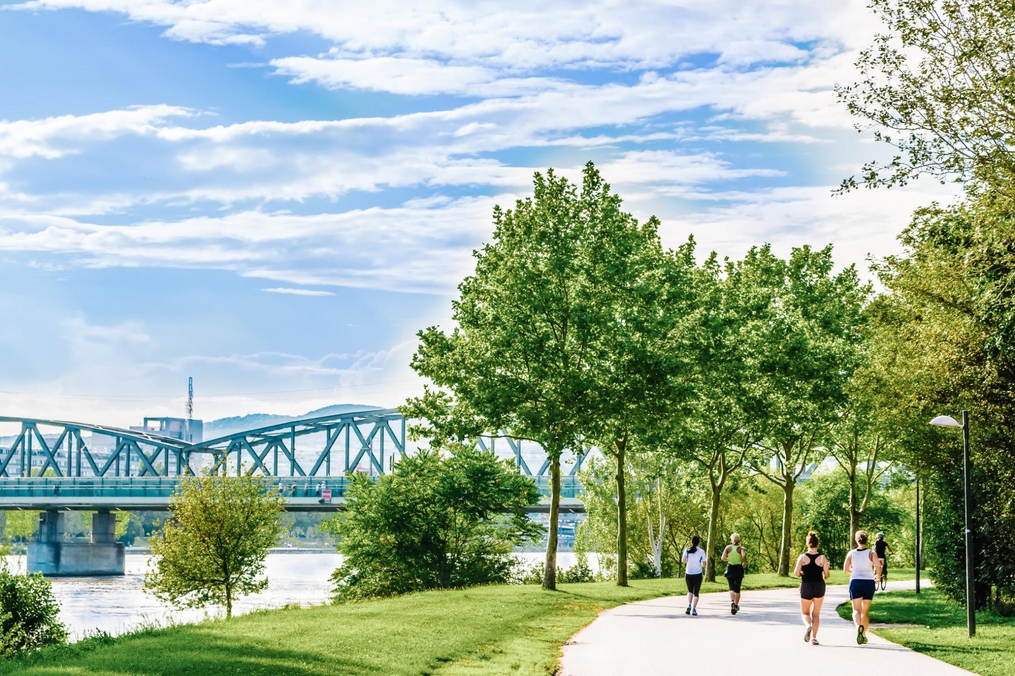 Resilient and Regenerative Cities